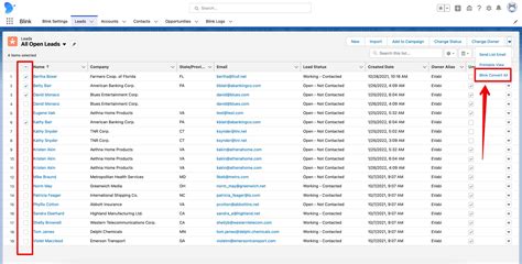 Mass Convert Leads In Salesforce Blink