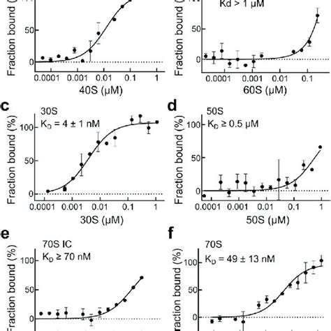 2a Binds Directly To Eukaryotic And Prokaryotic Ribosomes A Mst Download Scientific Diagram