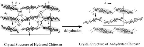 Chitosan Structure