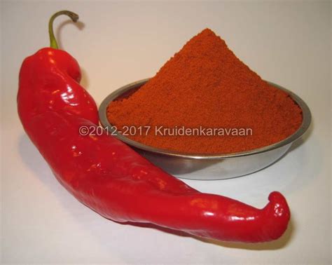 Paprika Bbq Kruiden At Laura Mullen Blog