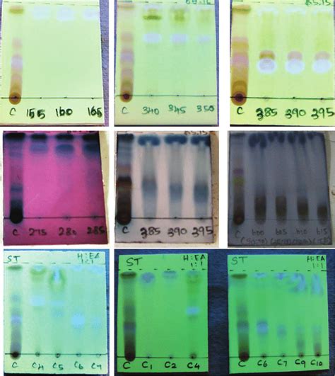 Thin Layer Chromatography Plates Of Some Isolated Fractions Download