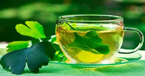 6 Proven Herbs To Boost Female Libido Naturally Holisticwow Herbs