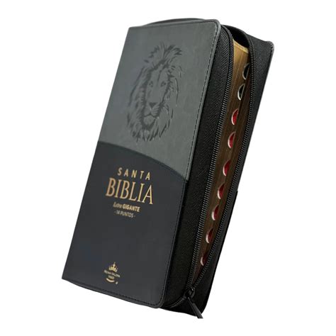 Biblia Reina Valera 1960 Tamaño Manual Letra Gigante 14 Puntos
