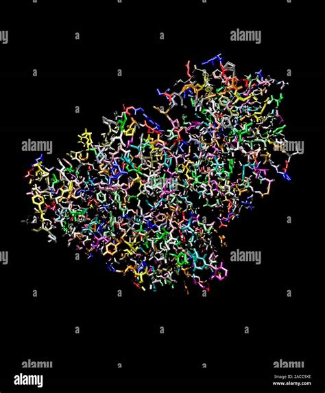 Ricin Computer Model Of A Molecule Of The Toxic Protein Ricin It