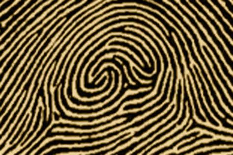 8 Most Common Types Of Fingerprints Blast Security