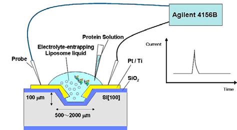 A Photomicrograph Of Birds Eye View Of The Fabricated Arrayed Sensor