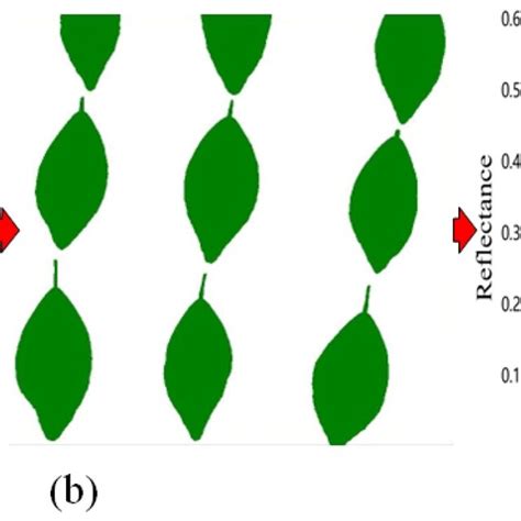 Flow Chart Of Spectral Reflectance Extraction From Cl A Download Scientific Diagram