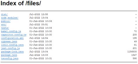 Express Autoindex Npm