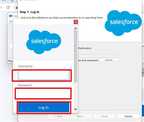How To Assign A Lead Using A Data Loader