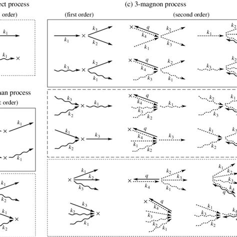 Diagrammatic Representation Of Various Nuclear Spinlattice Relaxation Download Scientific