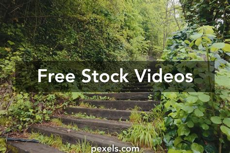 Momandbrattystepson Videos Download The Best Free 4k Stock Video