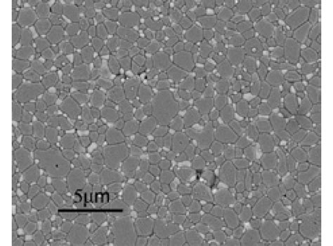 Microstructure Of An Alumina 10 Vol Zirconia Nanocomposite Dark Download Scientific Diagram