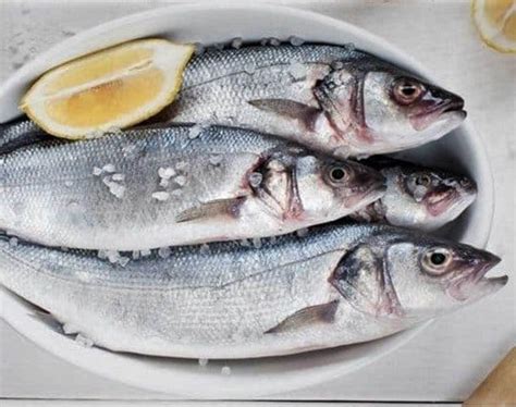 Ideal Fish Delivering Sustainably Raised Fish Through Unique