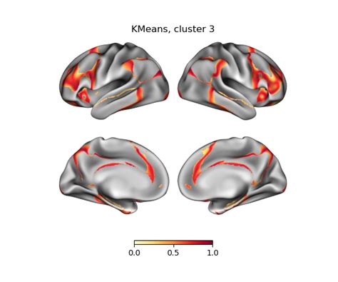 Segmentation Of The Cortical Gradient — Gradec 010 Documentation