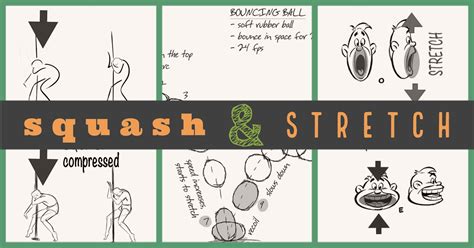 squash and stretch principle cristina teaching art
