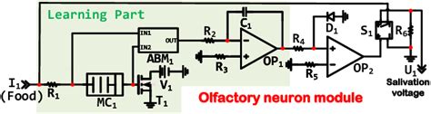 Figure 3 From A Full Functional Pavlov Associative Memory Biomimetic Neural Circuit With