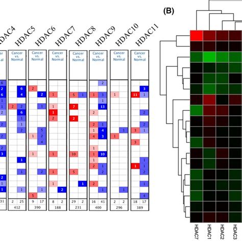 pan‐cancer analysis of hdacs expression by the oncomine database a