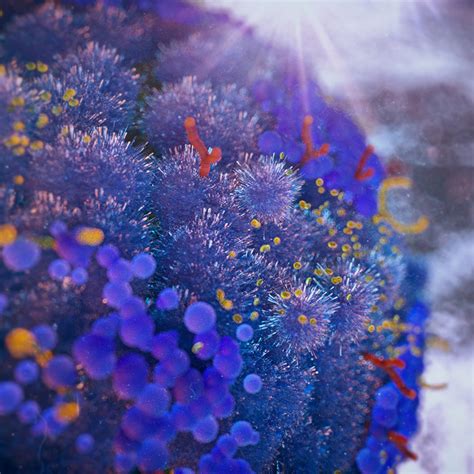 Visualizing Cells On Behance