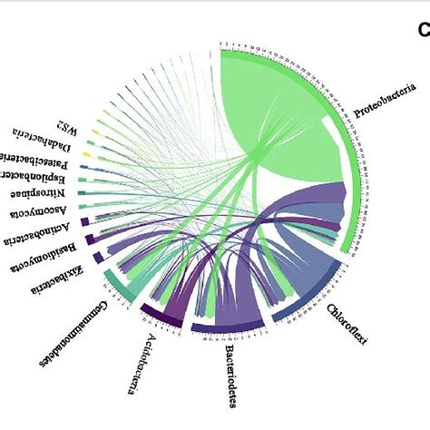 Predicted Function Of Microbial Community Discrepancy A And
