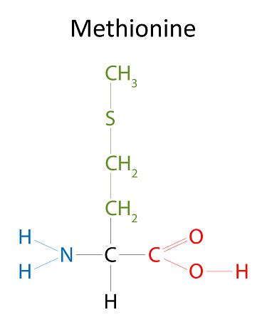 The Chemical Structure Of Methionine Stock Illustration Download
