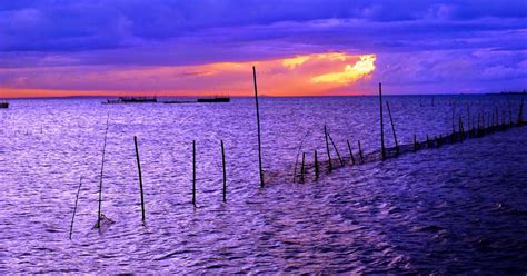 Sabor Bacolod Silay Seashore