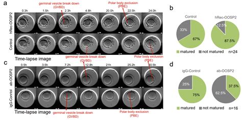 Tsinghua Professor Kehkooi Kee Group Collaborates To Reveal Single Cell