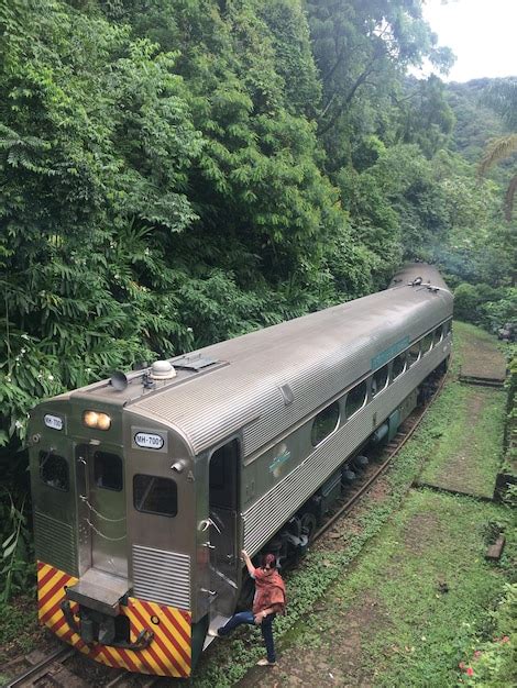 Passenger Train Passing Through Trees In Forest Premium Photo