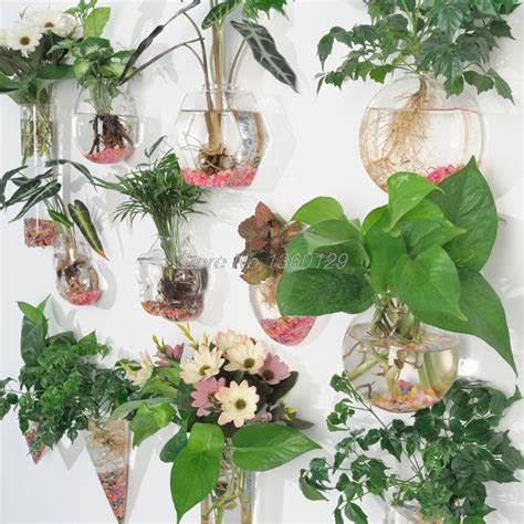 Wall Hanging Glass Flower Planter Vase Plant Pot T Grandado