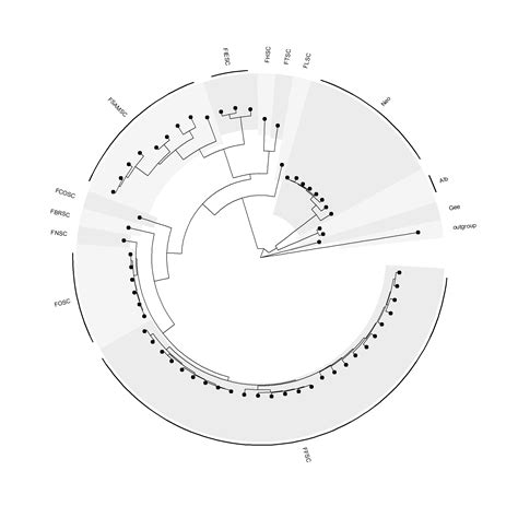 Plotting Phylogenetic Trees In R Alternating Clade Highlights Rowena Hill