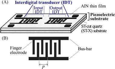Schematic View Of SAW Device Fabricated In This Study A Whole Download Scientific Diagram