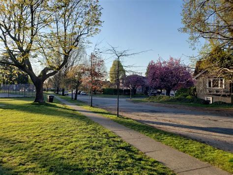 Oak Park In Vancouver Canada Reviewsopen Hoursphoto Spots Things