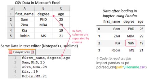 Python Pandas Read Csv Load Csv Text File KeyToDataScience