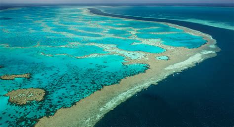 Coral Reef Description Geochemistry Origins And Threats Britannica