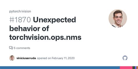 Unexpected Behavior Of Torchvision Ops Nms Issue Pytorch Vision Github