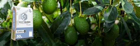Nutricion Vegetal Fertilizantes Tepeyac