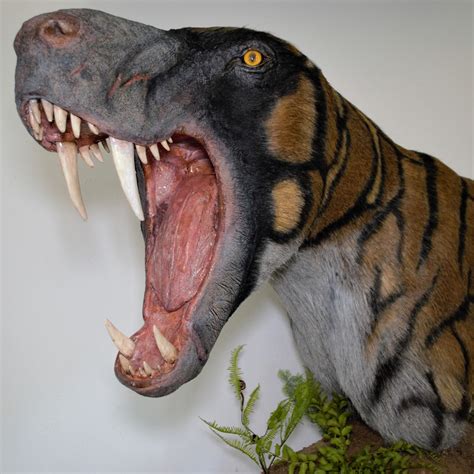 Paleoarte De Inostrancevia Salvatore Paleoart