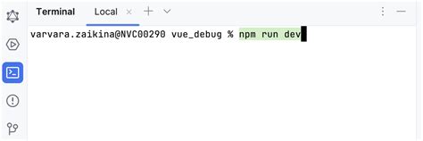 终端 Webstorm 文档