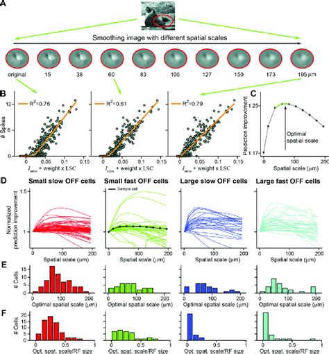 Analysis Of The Optimal Spatial Scale For Calculating The Local Spatial