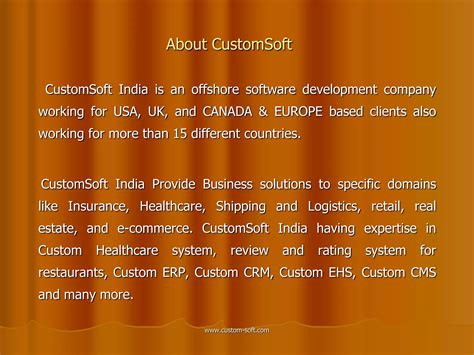 Project Tracking System By Customsoft PPTX Technology Computing