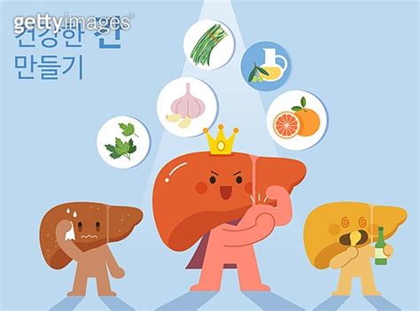 간 인체내부기관 간염 건강관리 주제 질병예방 술 음료 질병 건강이상 쑥 마늘 부추 올리브오일 식용유 자몽 왕관 지방간 이미지