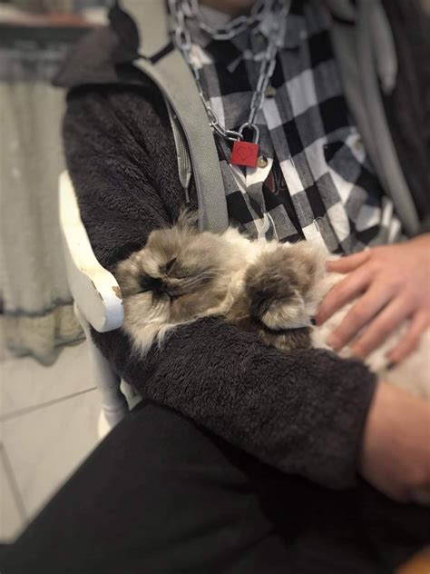 Love Of My Life Rcute