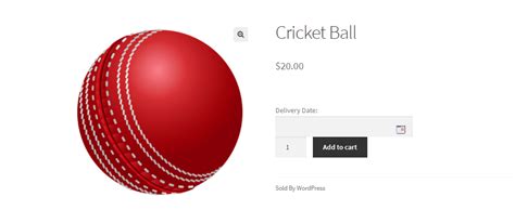Setup Delivery Date Calendar On Woocommerce Products Page Part 1 Tyche Softwares Documentation