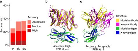 Evaluation Of Alphafold Antibody Antigen Modeling With Implications For Improving Predictive