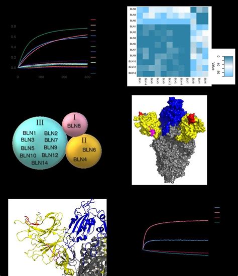 Epitope Mapping Of The Selected 12 Ntd Specific Mabs Determined By Download Scientific Diagram