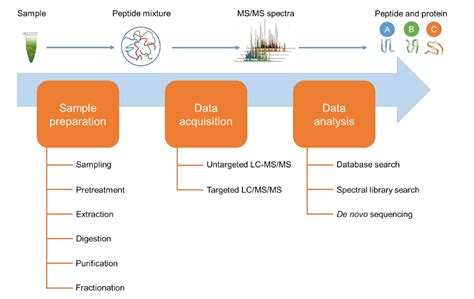 Sample Preparation In Bottom Up Proteomicsandprotein Extraction