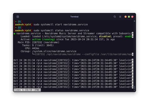Navidrome How To Set Up Your Own Music Server On Raspberry Pi LinuxForDevices