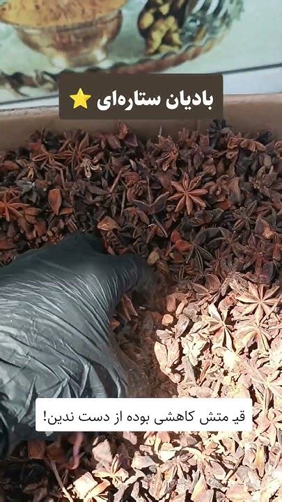 بادیان ستاره‌ای Youtube