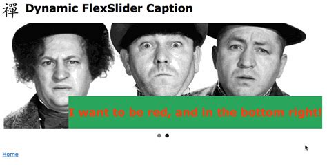 Dynamically Control Flexslider Caption Position And Color In Drupal