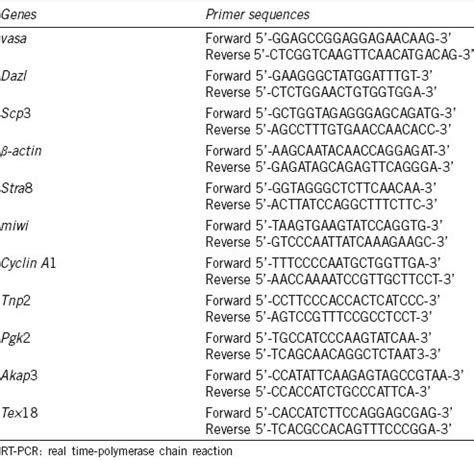 Enhancement Of Mouse Germ Cell Associated Genes Expression By Injection Of Human Umbilical Cord