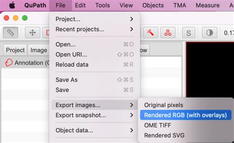 How To Export Tiles Of Large Histology Images In Qupath Carpenter Singh Lab
